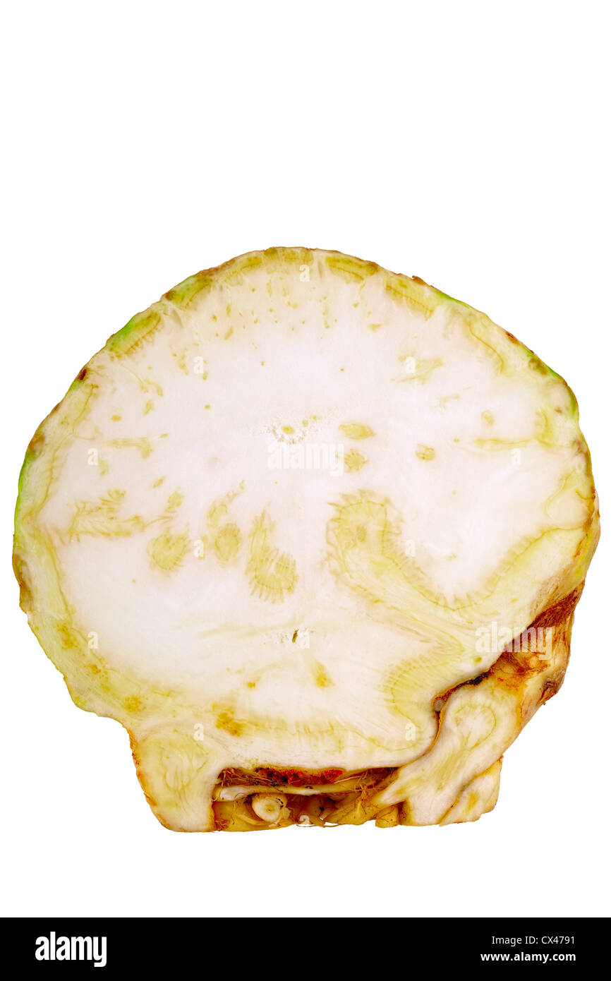 Cross-section of selleri isolated on white background, studio shoot ...