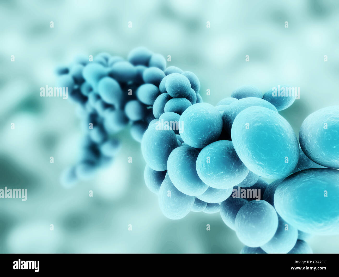 bacteria close up Stock Photo - Alamy