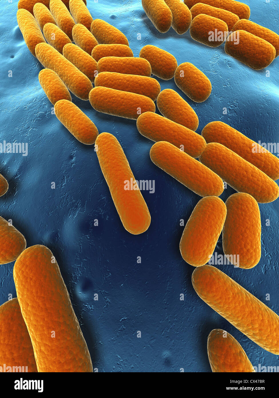 bacteria close up Stock Photo - Alamy