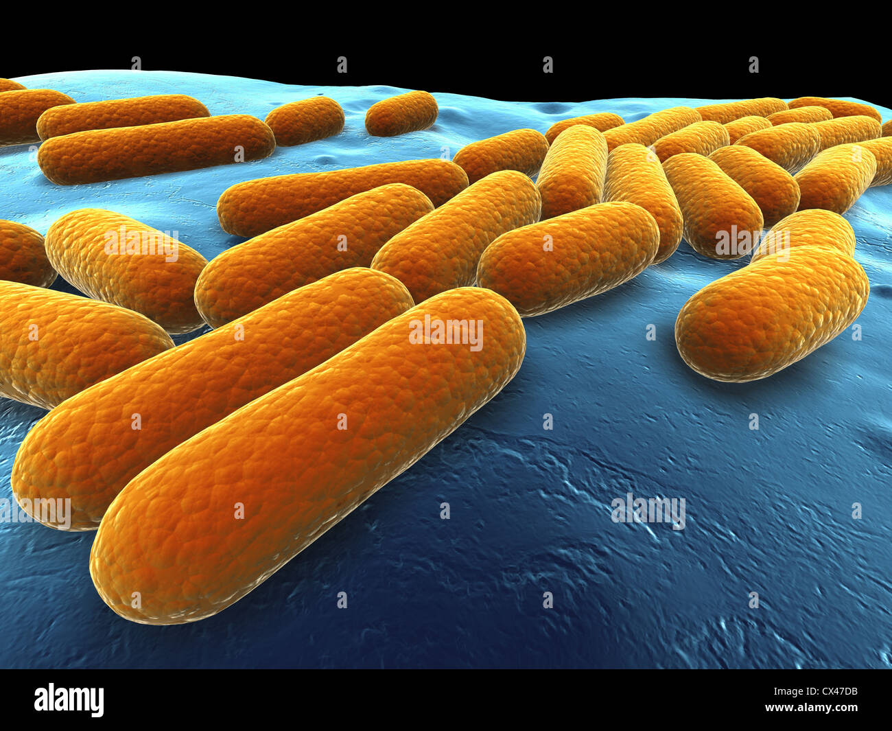 bacteria close up Stock Photo - Alamy