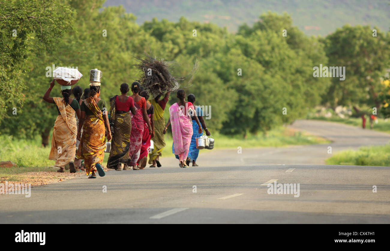 Rural women walking home after a day work in the fields Andhra Pradesh ...