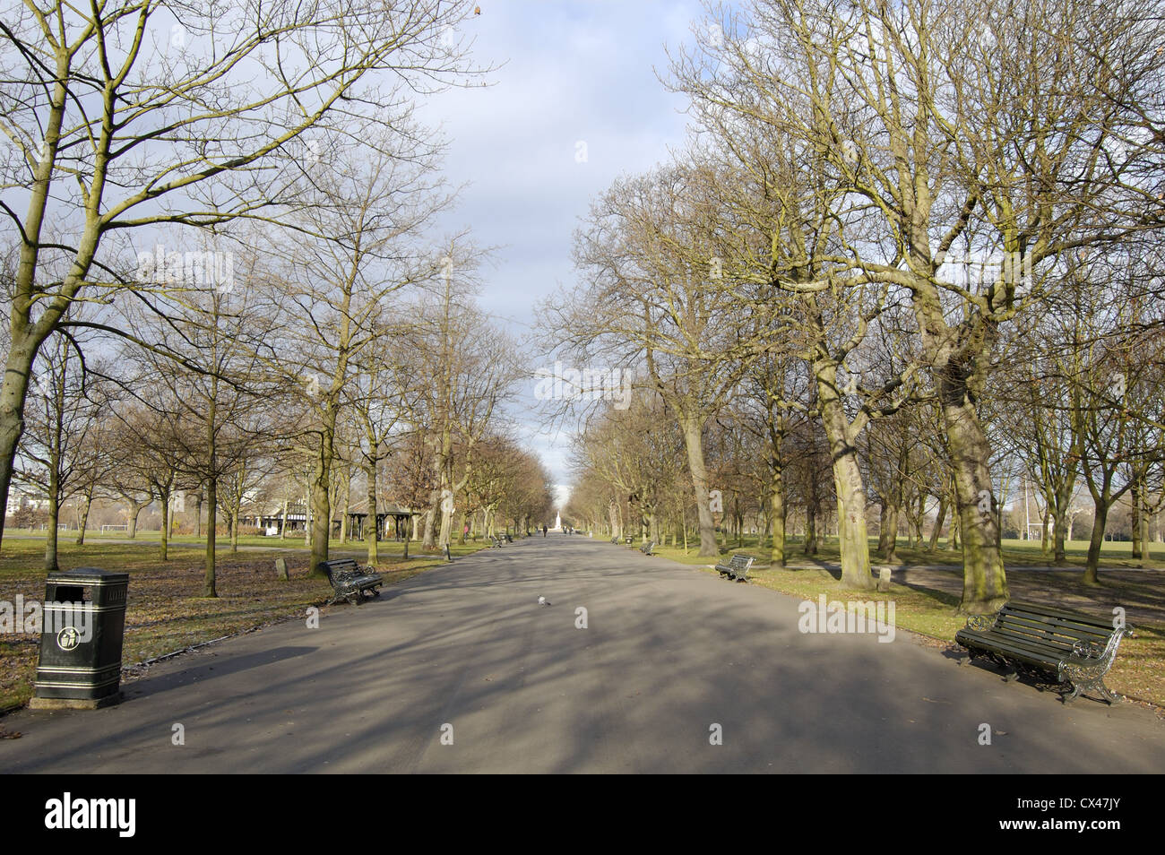 Tree lined path in Regents Park, London, England Stock Photo - Alamy