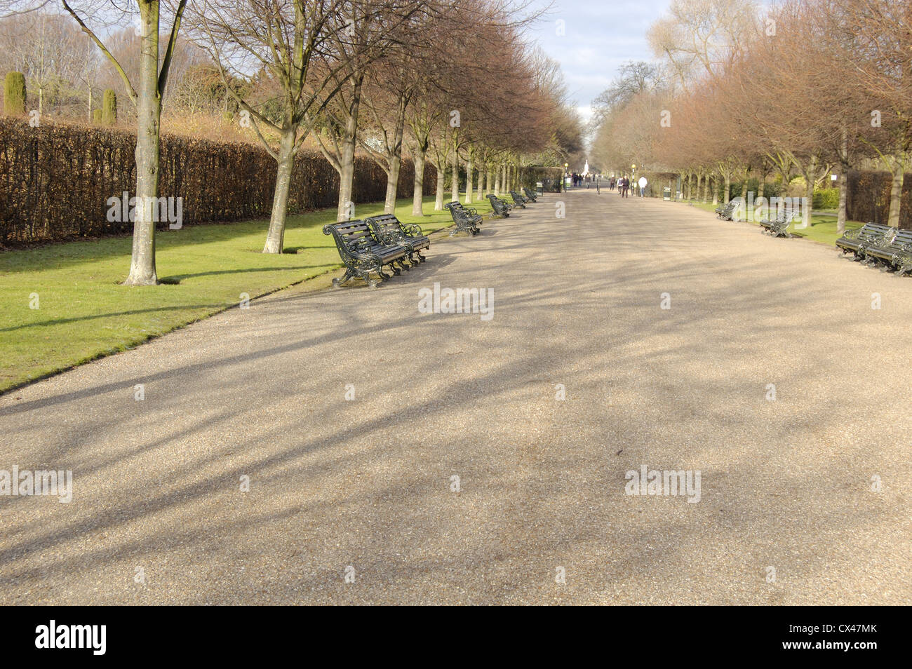 Tree lined path in Regents Park, London, England Stock Photo - Alamy