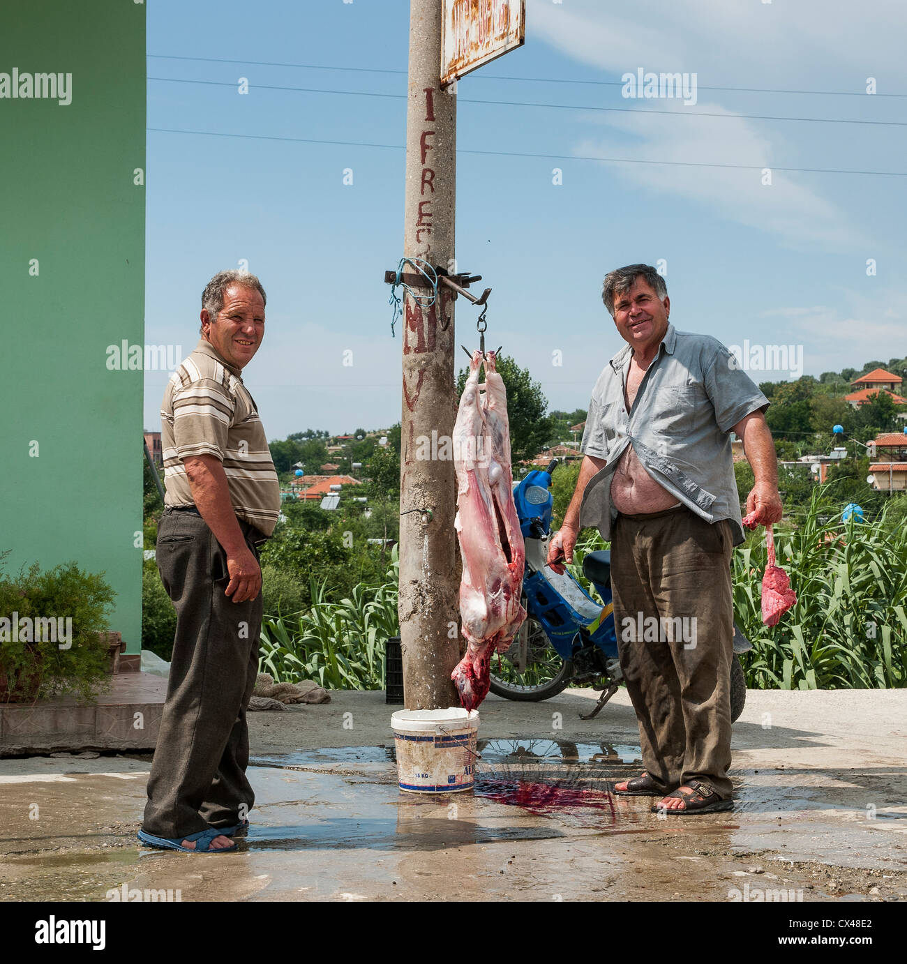 Butchering a goat on the roadside near Berat in central Albania Stock ...