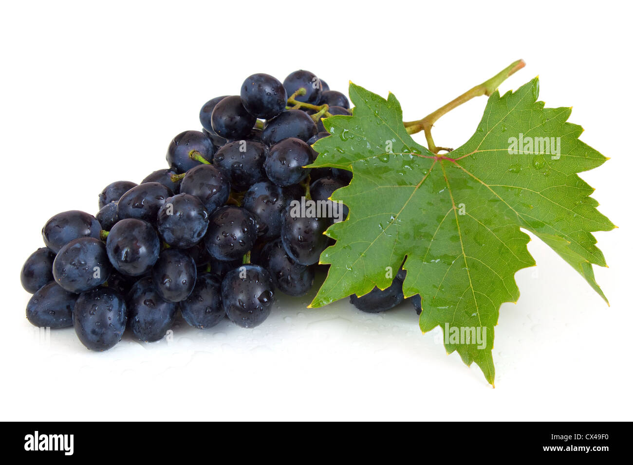 Big grapes Cut Out Stock Images & Pictures - Alamy