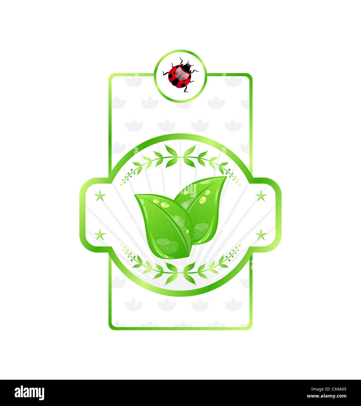 Illustration natural eco label with green leaves for packing product ...