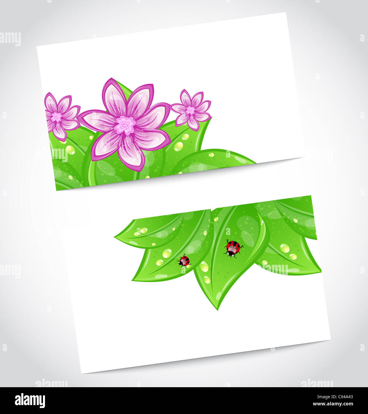 Illustration set of eco friendly cards with green leaves, concept ...