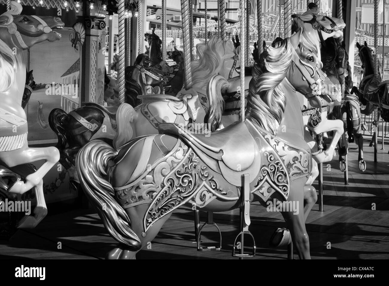 Carousel horses at the Texas State Fair. Dalllas, Texas Stock Photo - Alamy