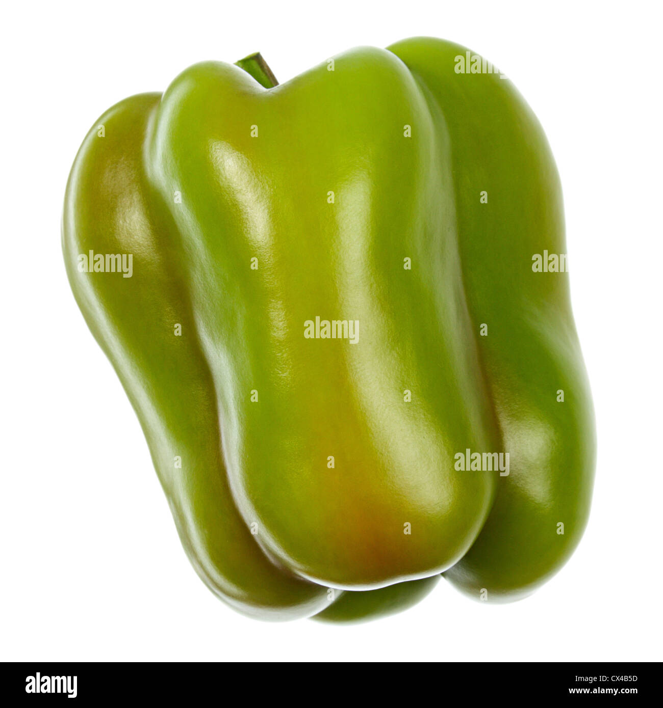 Single green bell pepper isolated on white Stock Photo - Alamy