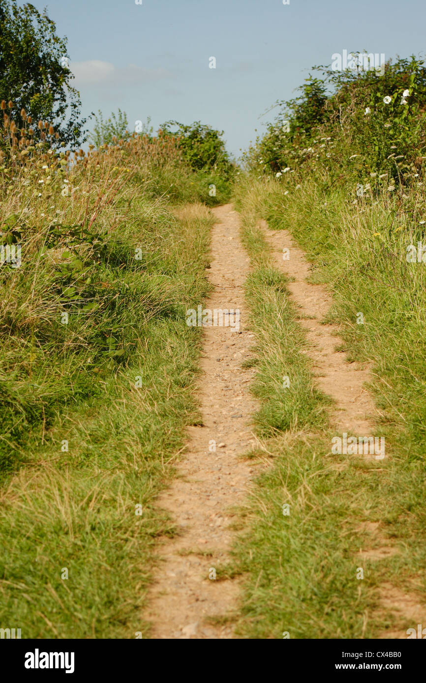 Up hill summer trail Stock Photo - Alamy