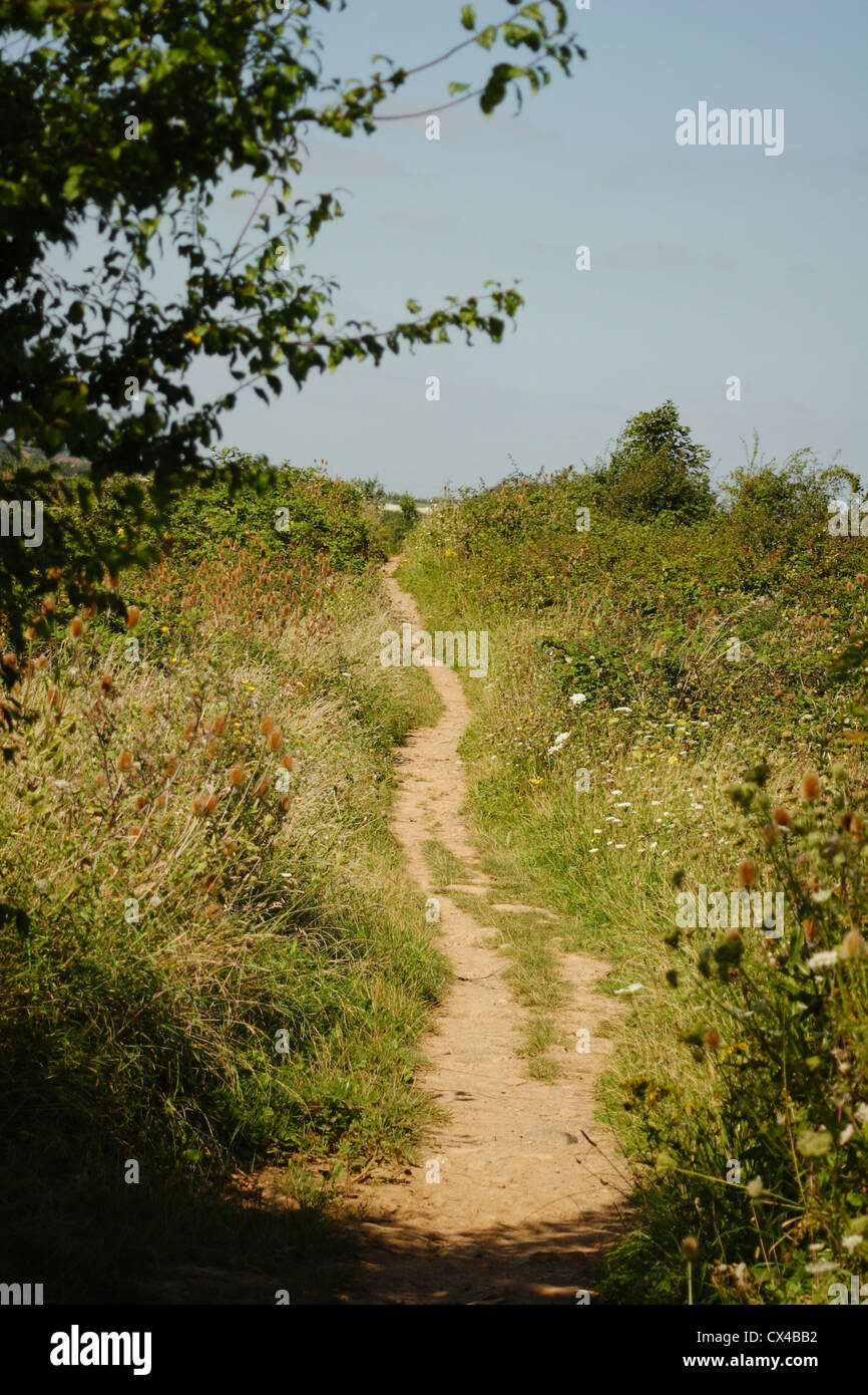 Up hill summer trail Stock Photo - Alamy