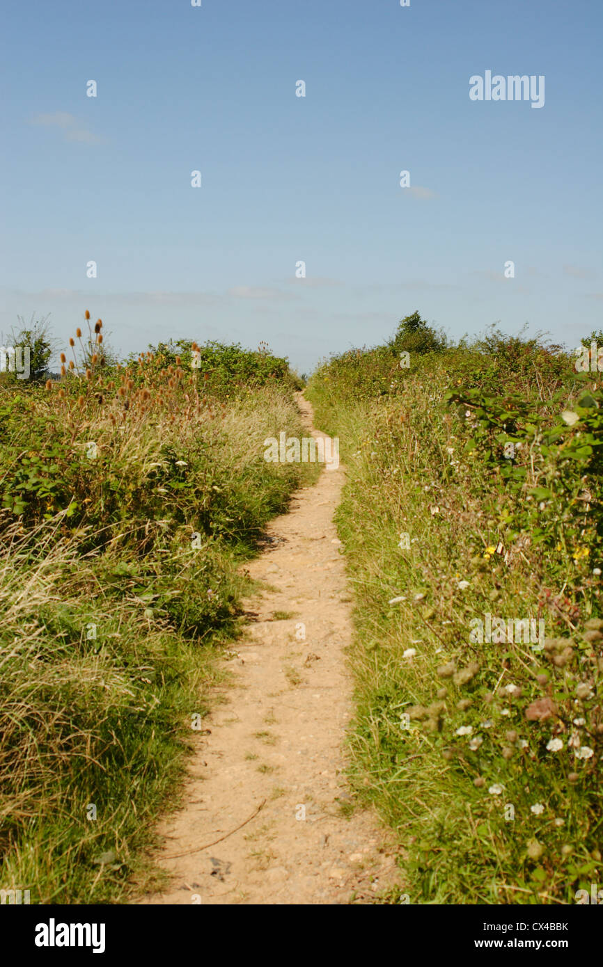 Up hill summer trail Stock Photo - Alamy