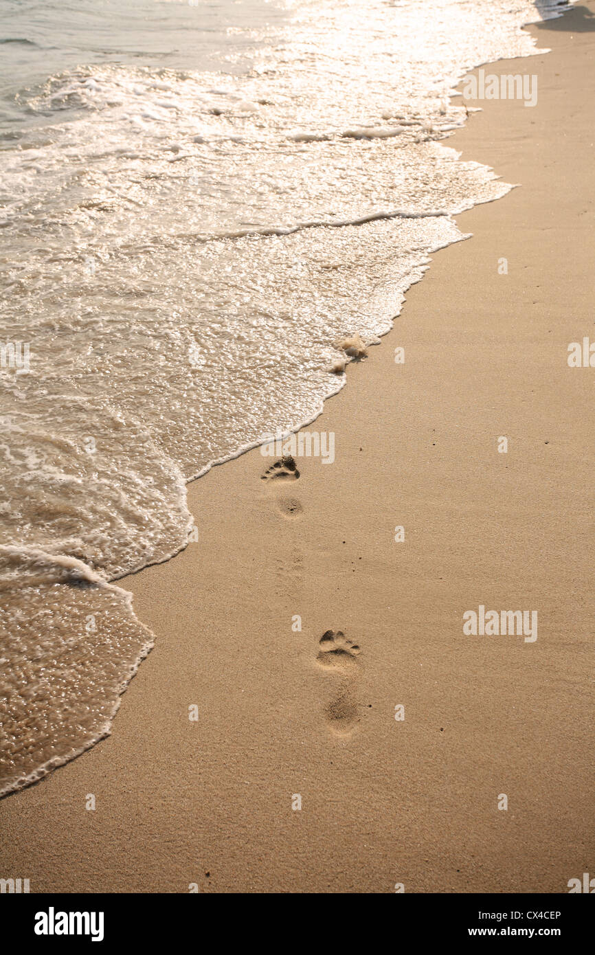 Nature footprint hi-res stock photography and images - Alamy