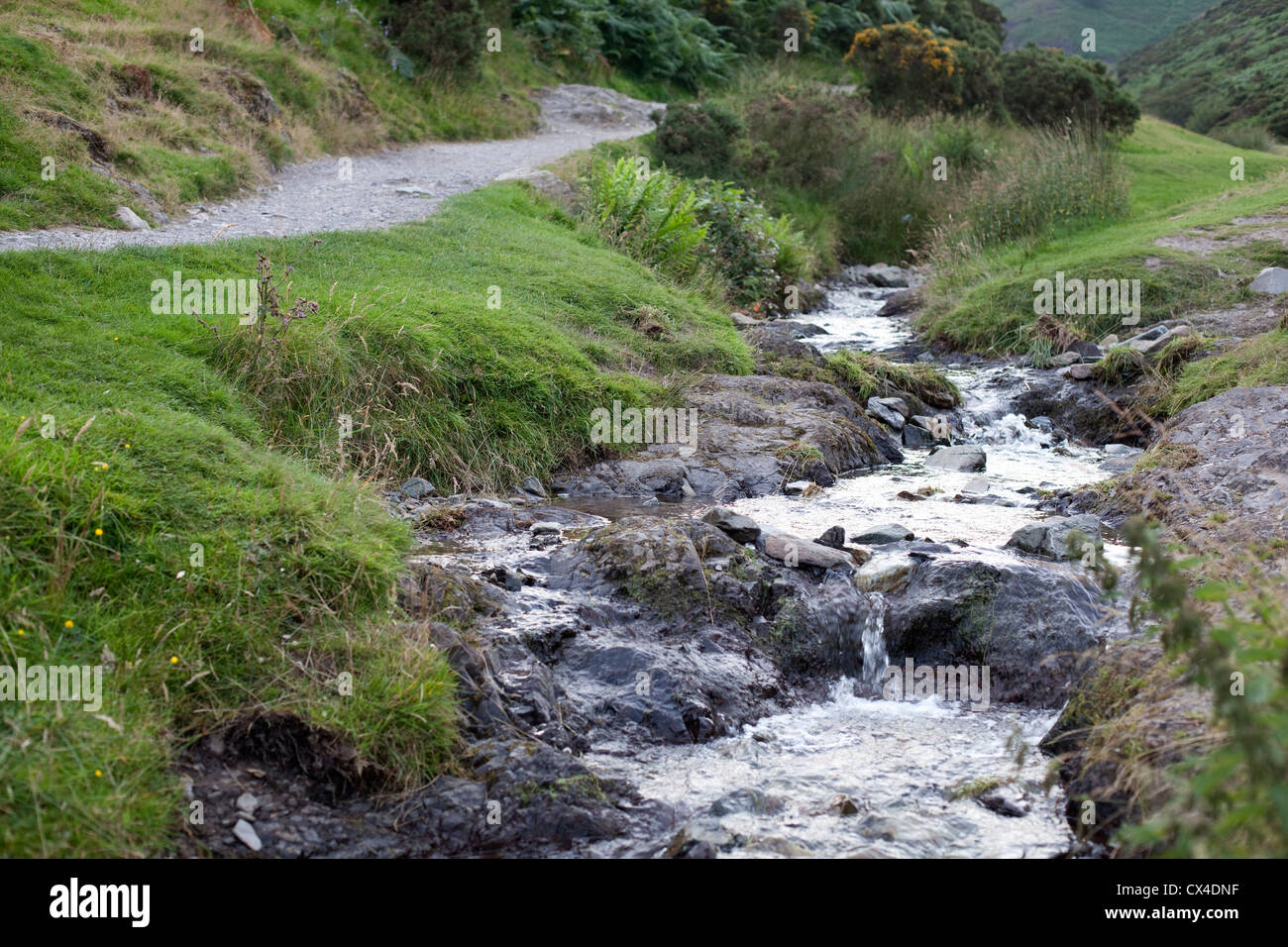 Stream running through Cardingmill Valley, Shropshire Stock Photo - Alamy