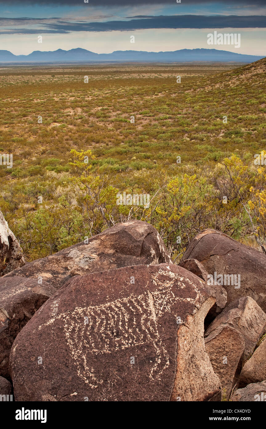 Bighorn sheep petroglyph hi-res stock photography and images - Alamy