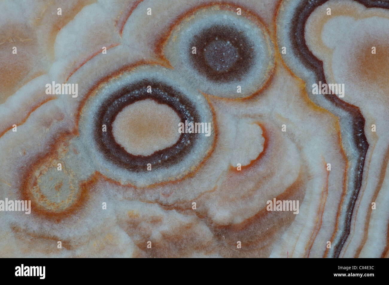 Cross section of stone Stock Photo - Alamy