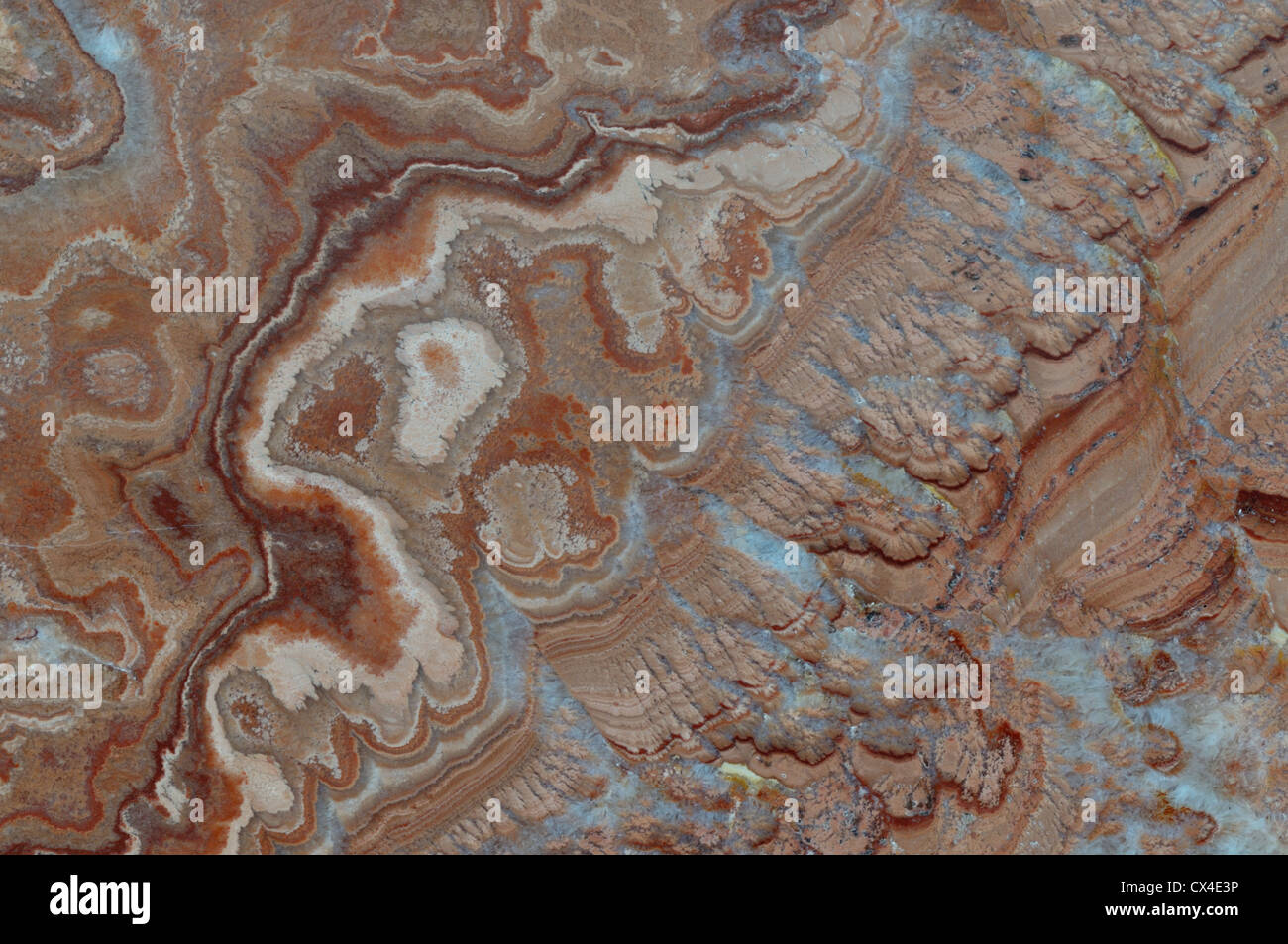 Cross section of stone Stock Photo - Alamy