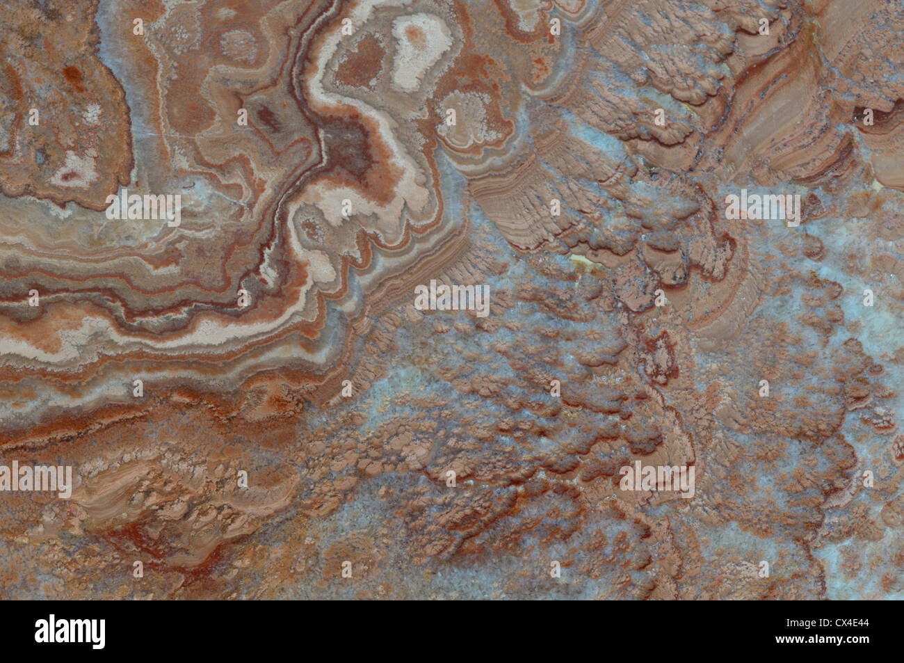 Cross section of stone Stock Photo - Alamy