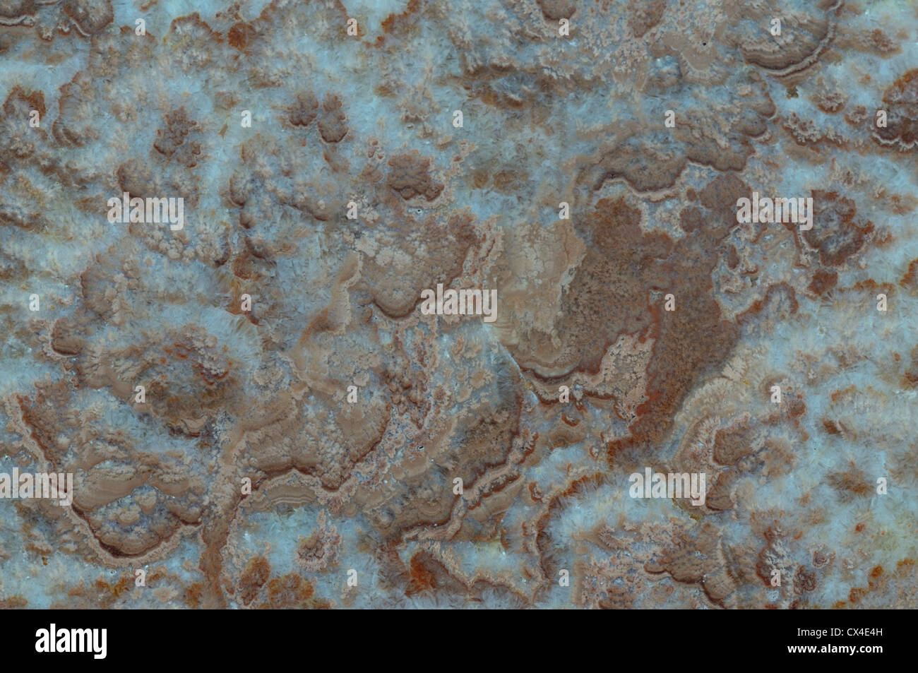 Cross section of stone Stock Photo - Alamy