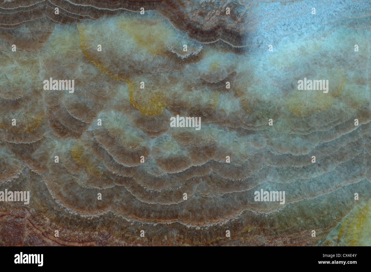 Cross section of stone Stock Photo - Alamy
