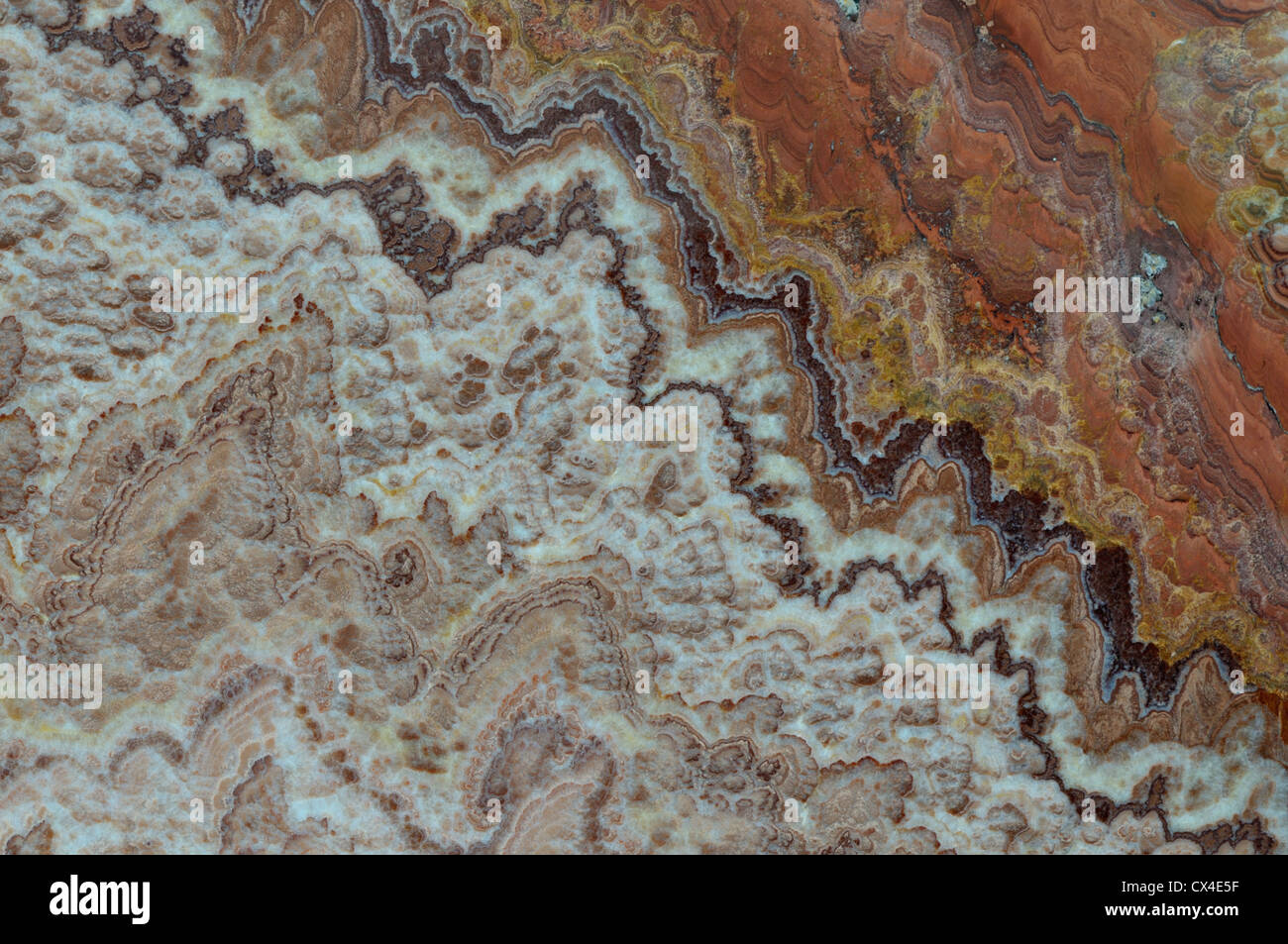 Cross section of stone Stock Photo - Alamy