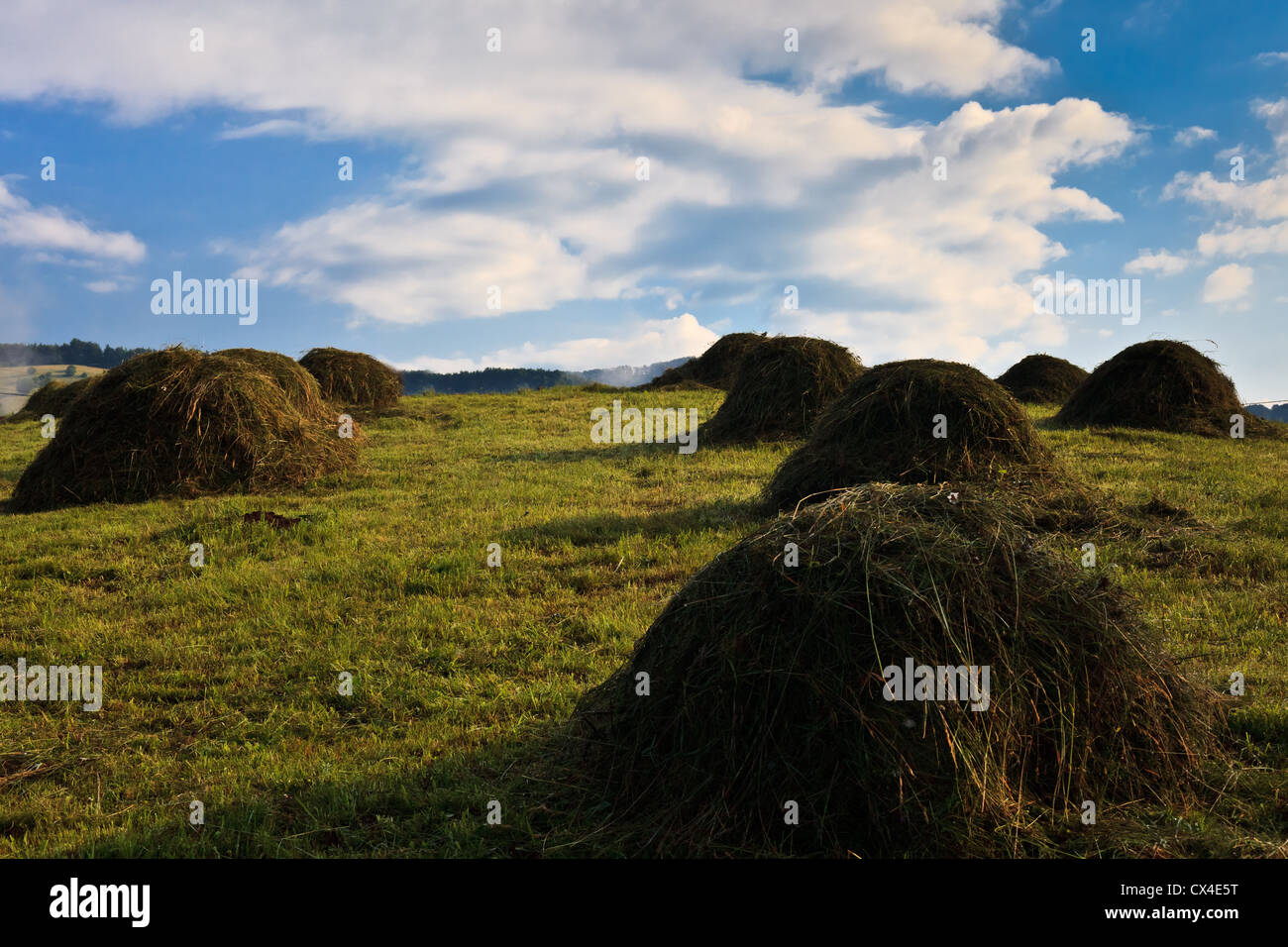 Rustic garden scene hi-res stock photography and images - Alamy