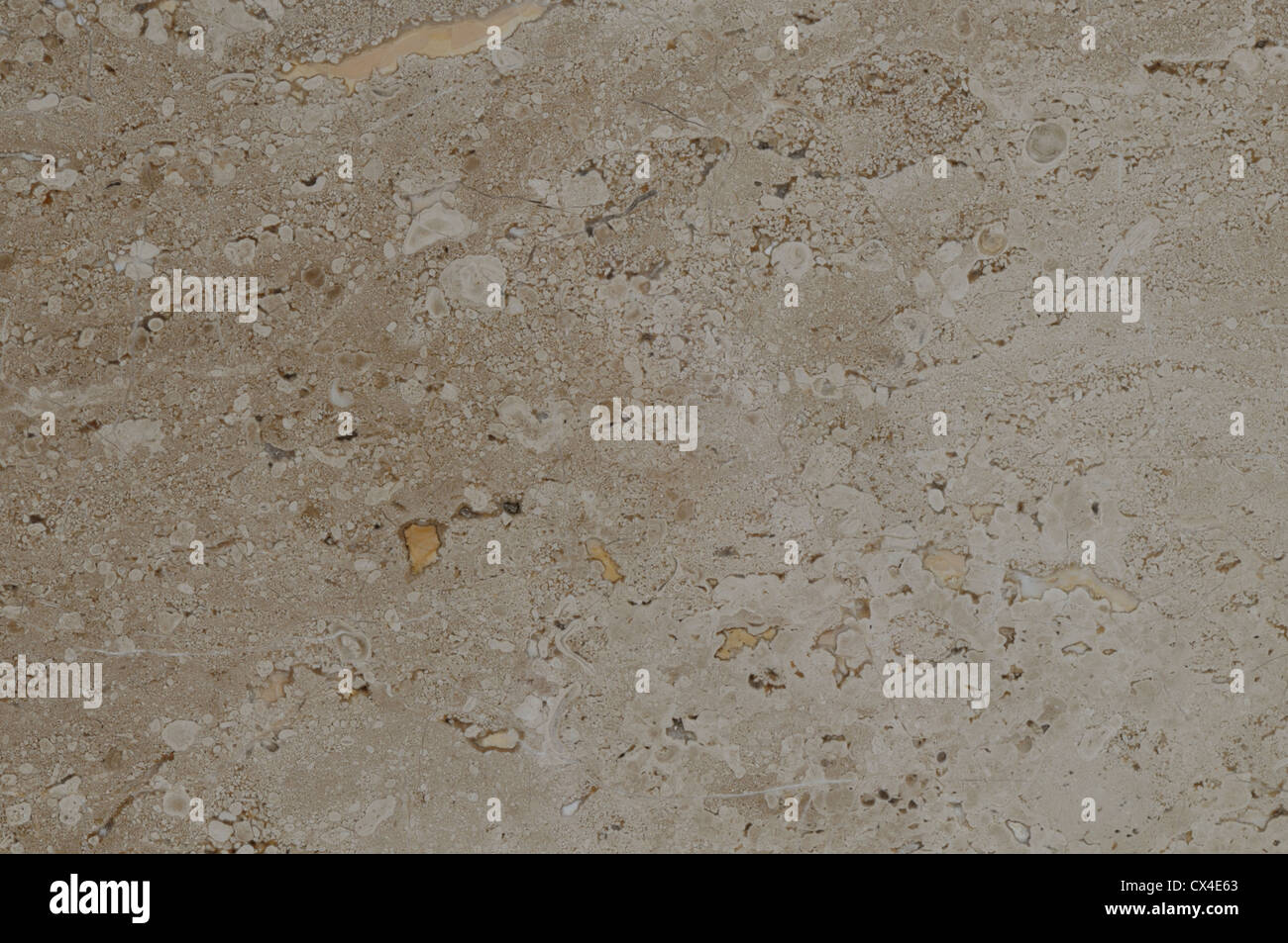 Cross section of stone Stock Photo - Alamy