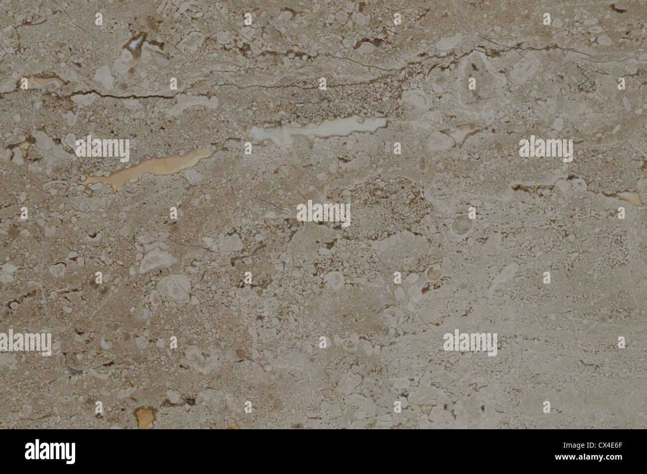Cross section of stone Stock Photo - Alamy