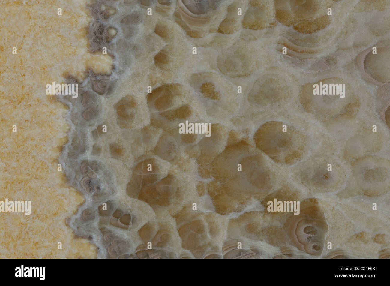 Cross section of stone Stock Photo - Alamy