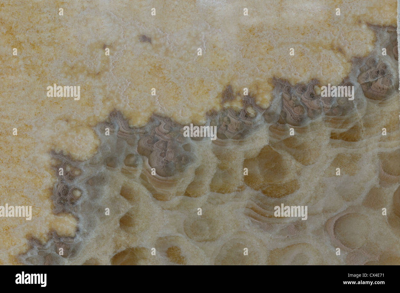 Cross section of stone Stock Photo - Alamy