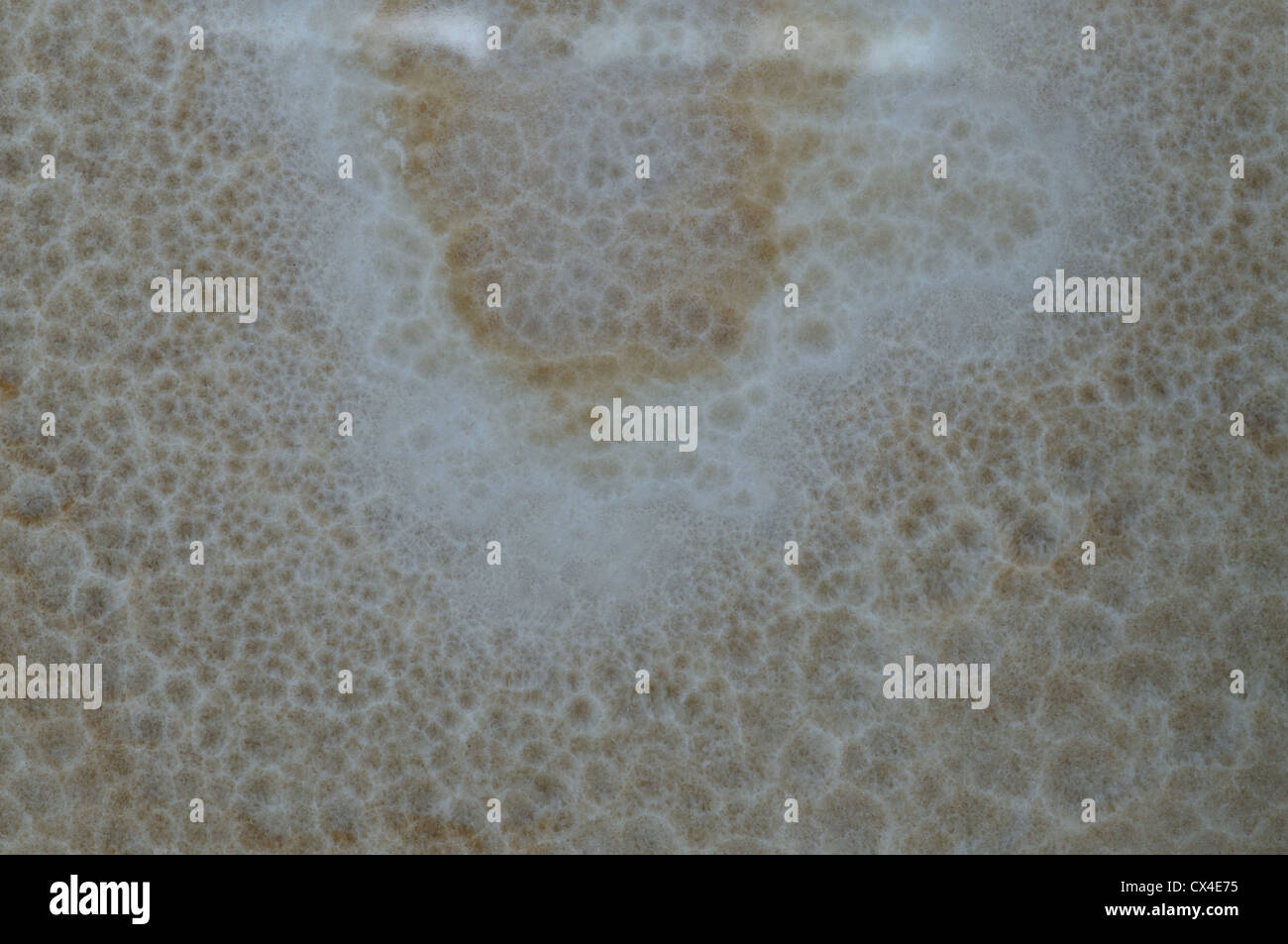 Cross section of stone Stock Photo - Alamy