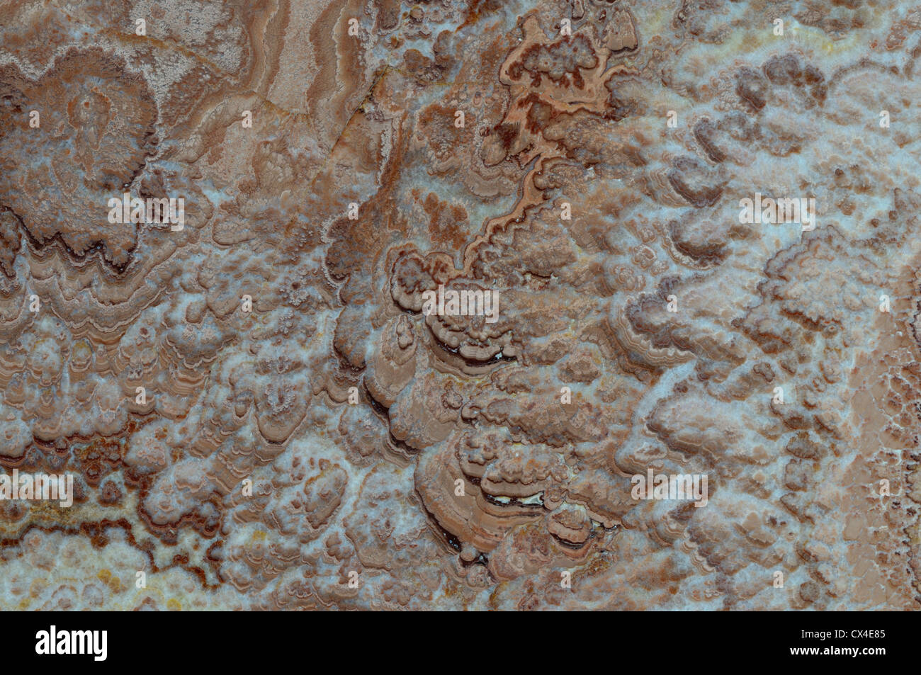 Cross section of stone Stock Photo - Alamy
