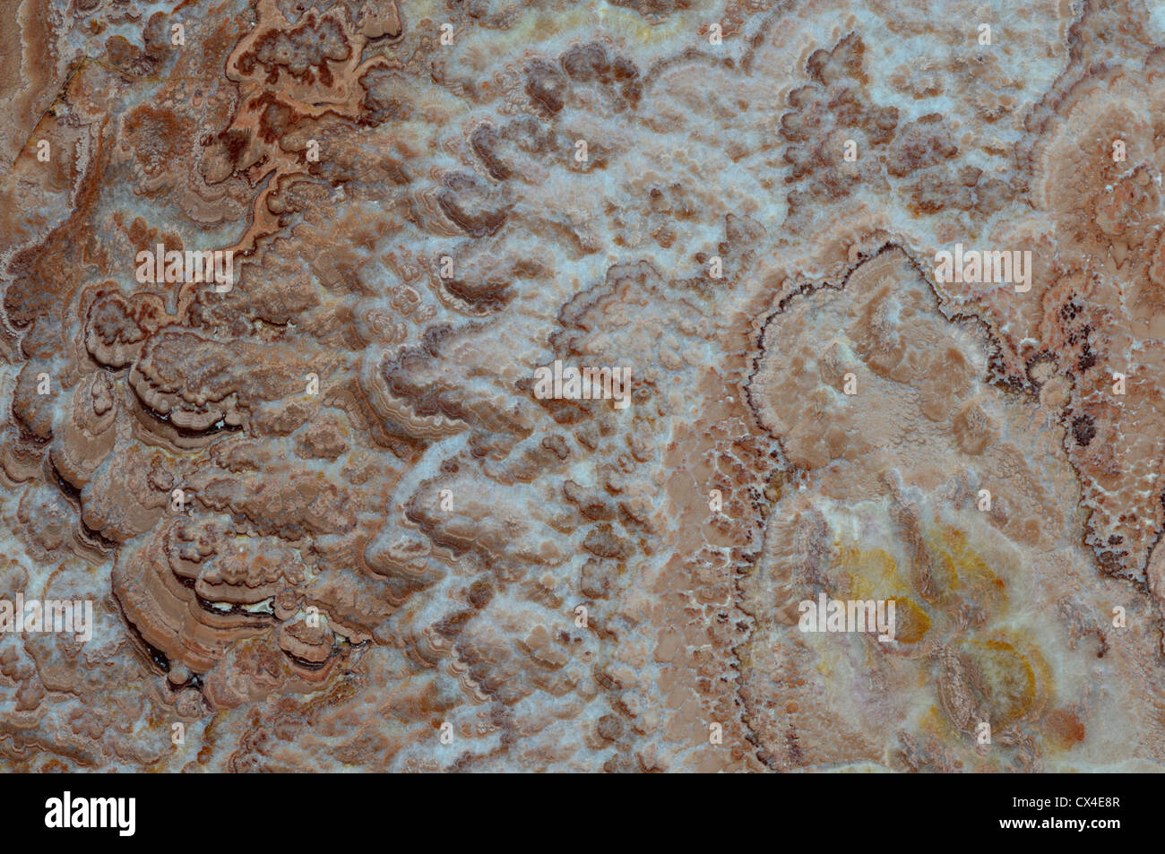 Cross section of stone Stock Photo - Alamy