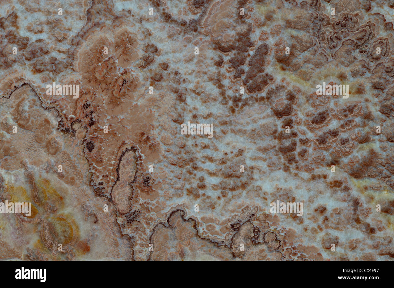 Cross section of stone Stock Photo - Alamy