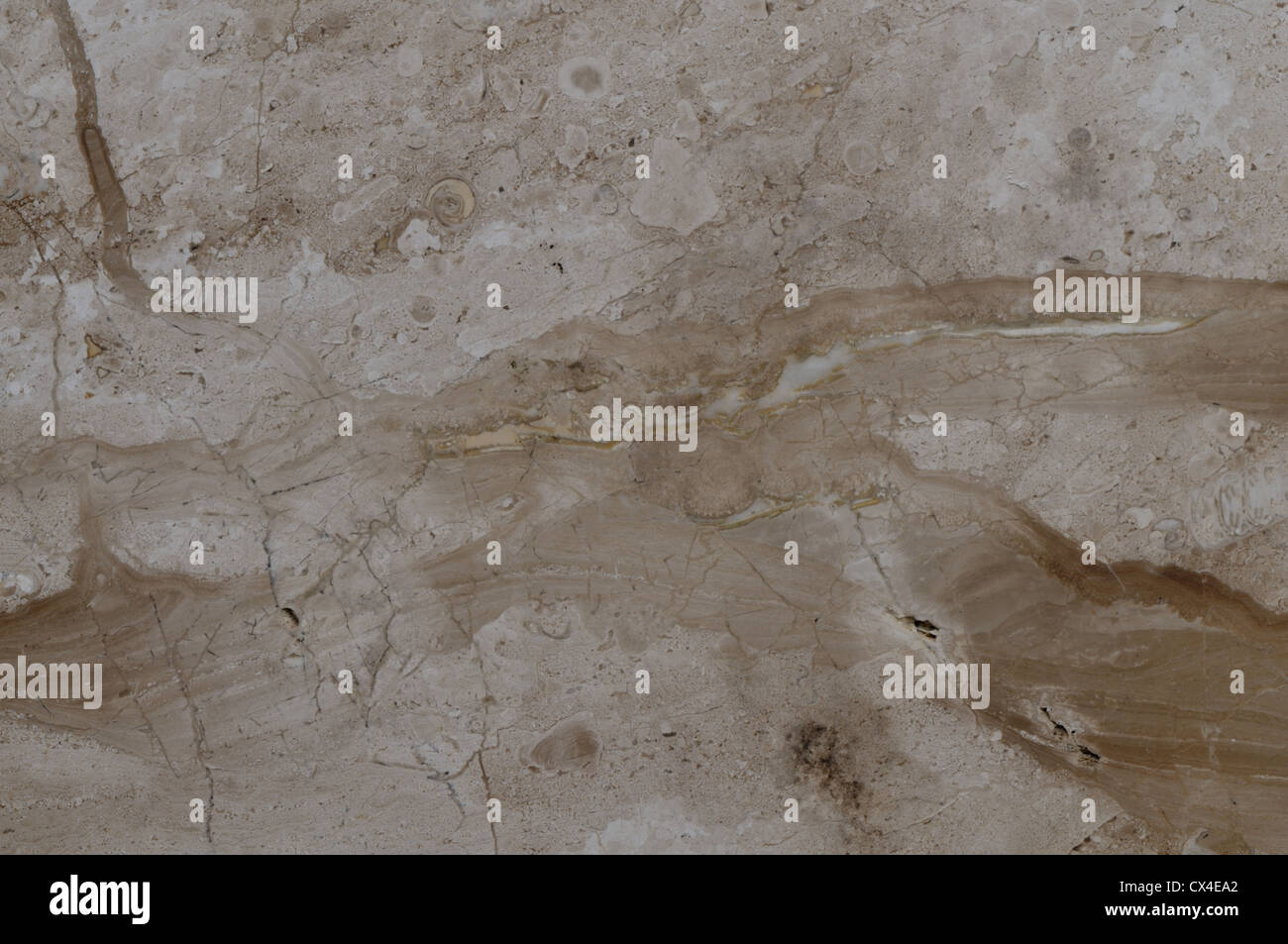 Cross section of stone Stock Photo - Alamy