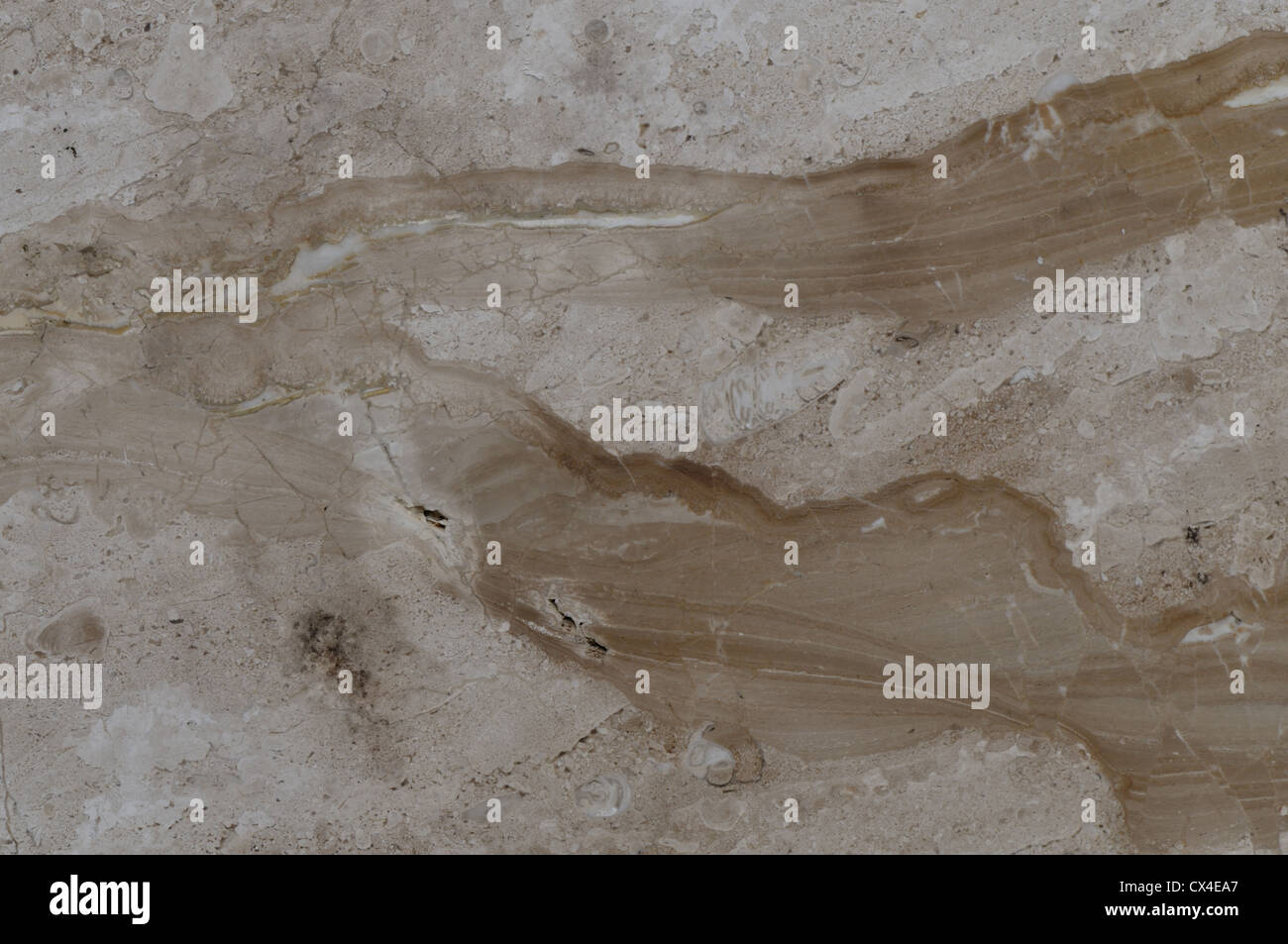 Cross section of stone Stock Photo - Alamy