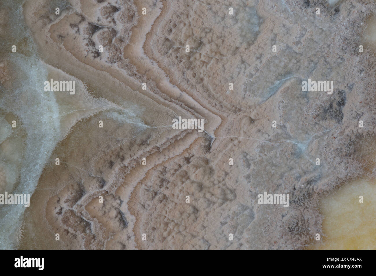 Cross section of stone Stock Photo - Alamy