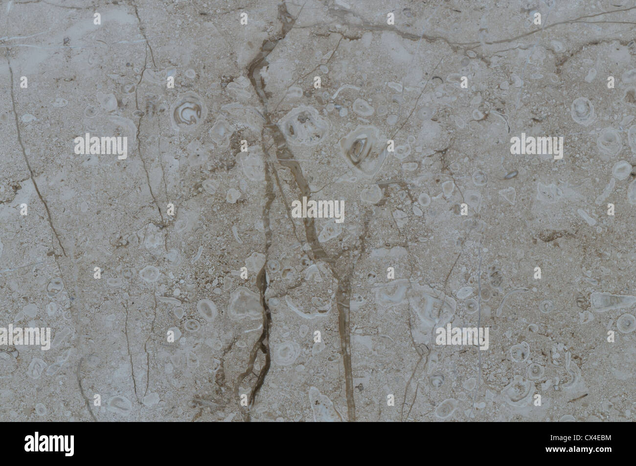 Cross section of stone Stock Photo - Alamy