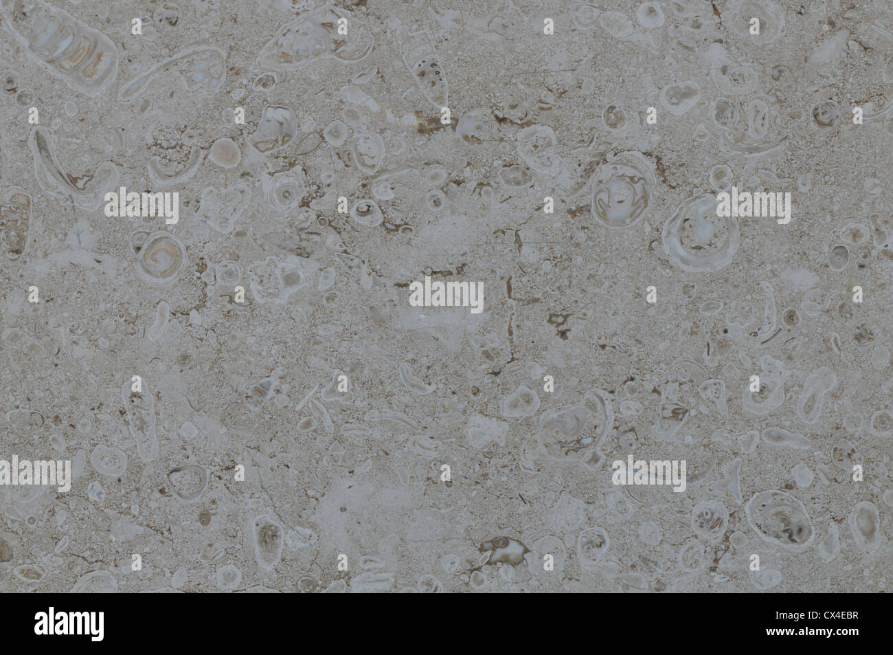 Cross section of stone Stock Photo - Alamy
