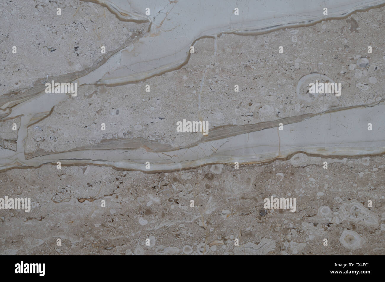 Cross section of stone Stock Photo - Alamy