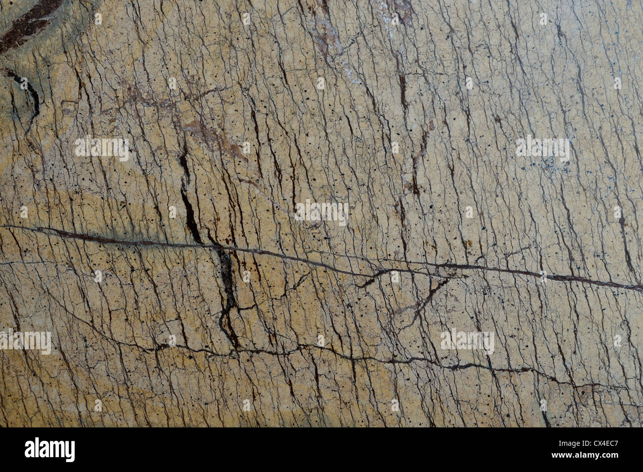 Cross section of stone Stock Photo - Alamy