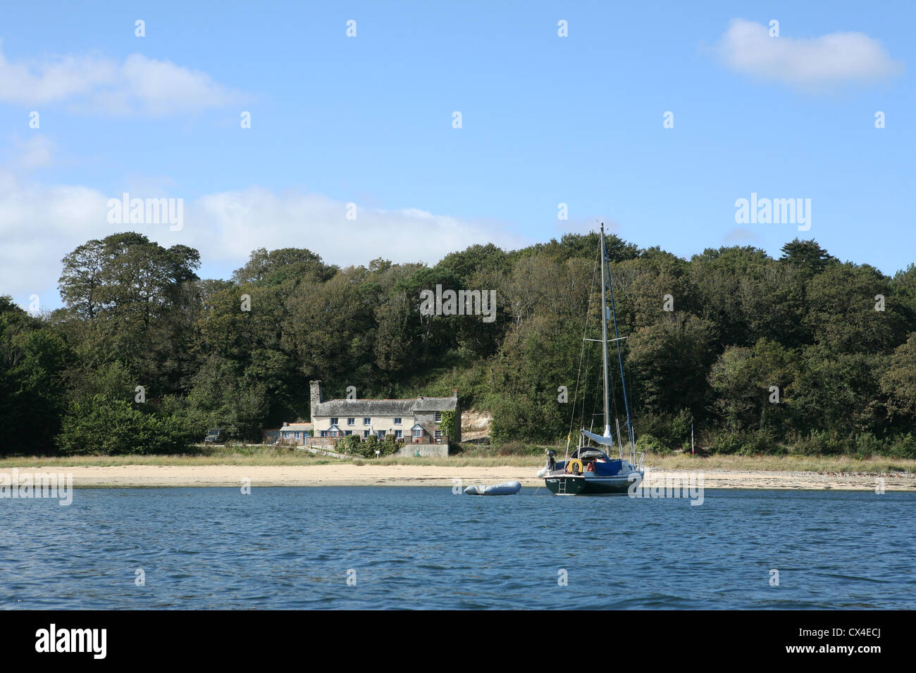 Scenery from the Percuil river, near St Mawes Cornwall Stock Photo - Alamy