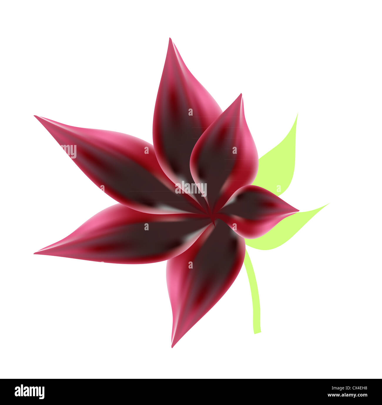 mysterious RED abstraction flower, magic and sign Stock Photo - Alamy