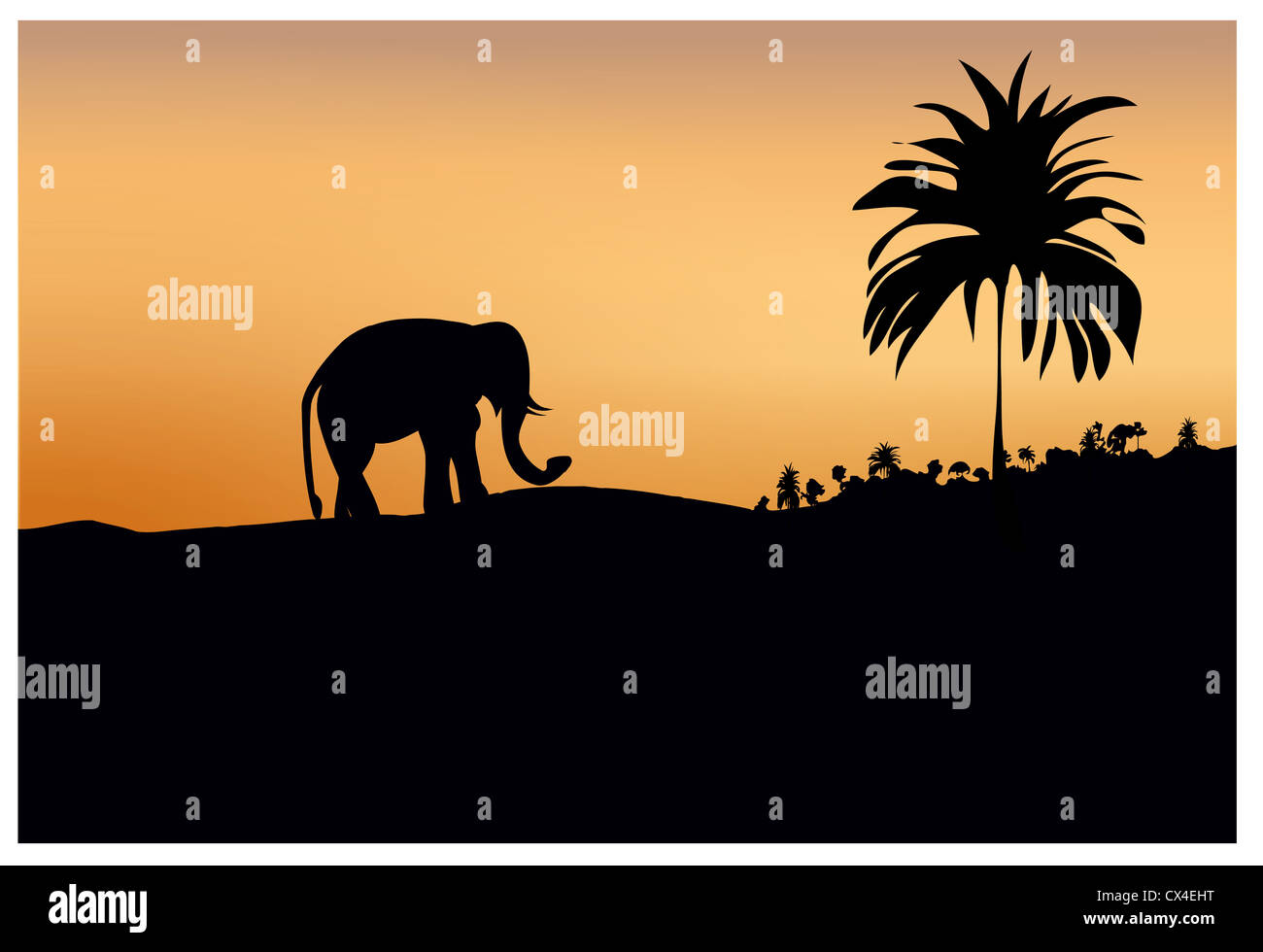Elephant silhouette sunset pink hi-res stock photography and images - Alamy