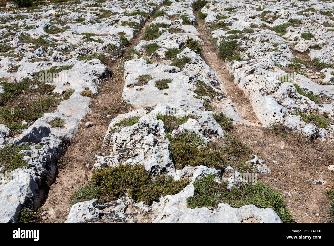 The mysterious cart ruts at Clapham Junction, Island of Malta ...
