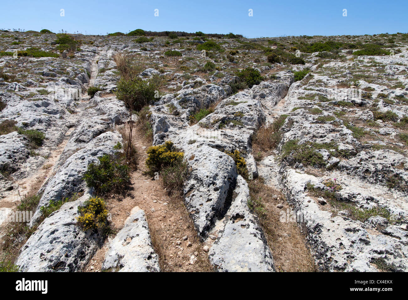 The mysterious cart ruts at Clapham Junction, Island of Malta ...