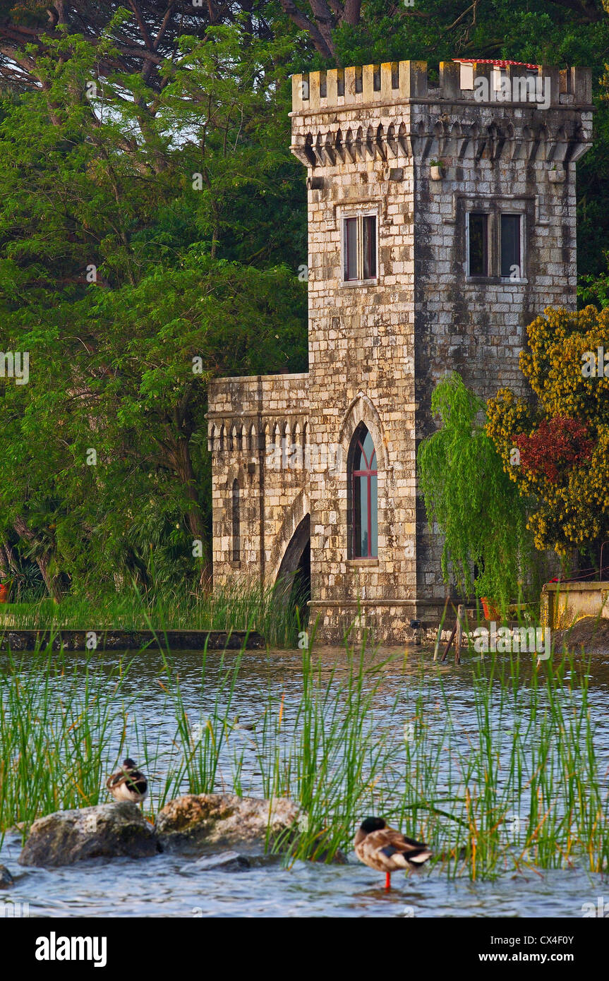 Massaciuccoli Lake, Torre del Lago Puccini, Viareggio, Lucca Province ...