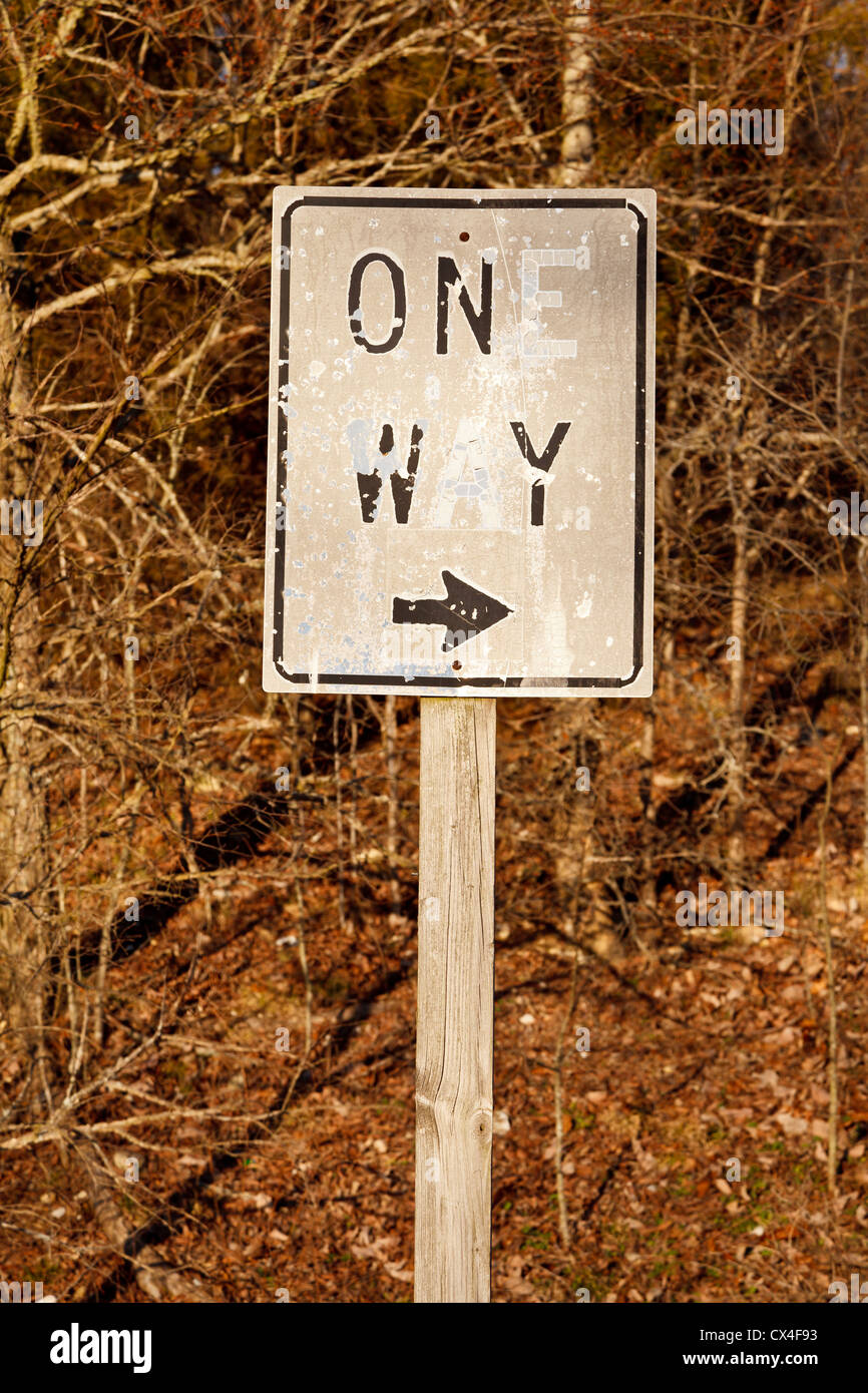 A very old, well-worn, one way sign with a wooded background Stock ...
