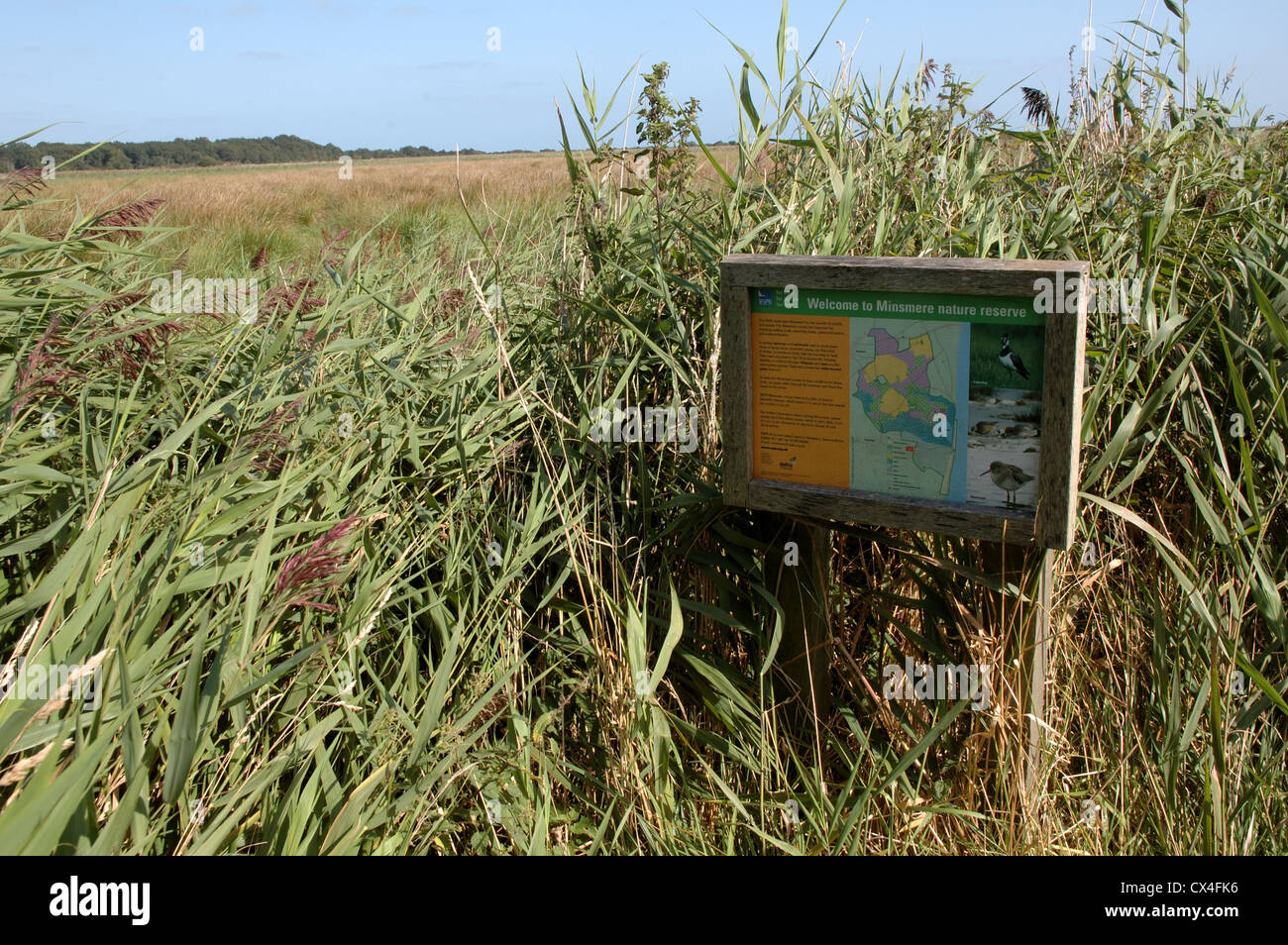 RSPB Minsmere Reserve, Suffolk, UK Stock Photo - Alamy
