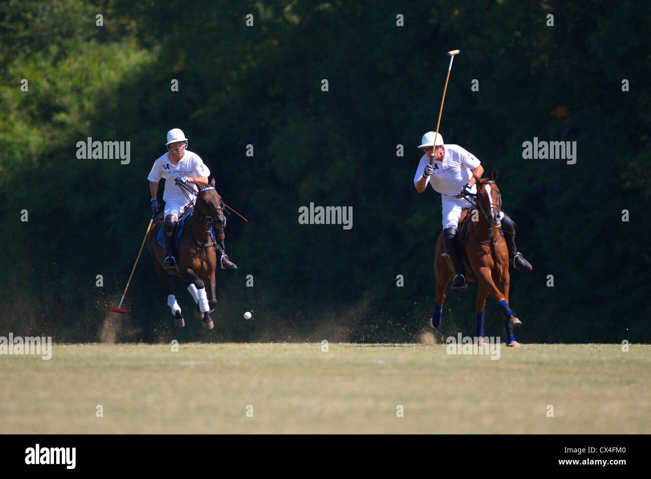 Polo Match at Atlanta Regional Polo Center - September 2012 Stock Photo - Alamy